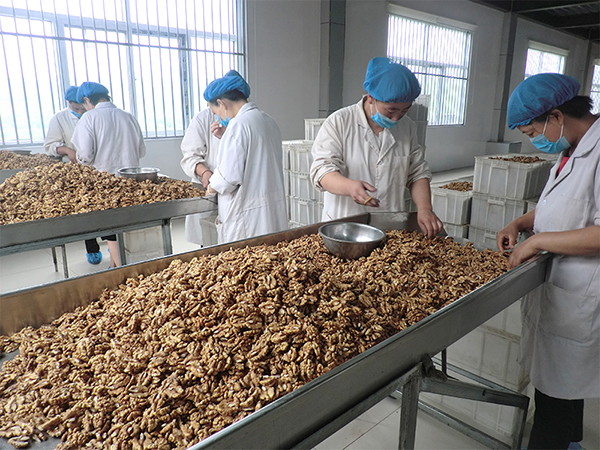 Extra Light Skinless Kernels walnut kernels for sale & wholesale, Extra ...