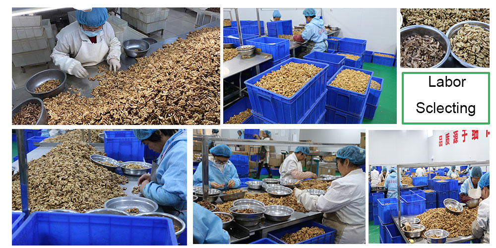 Walnut Kernels - Buy Product on Suguo International
