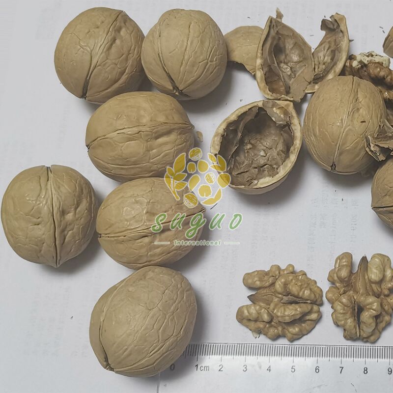 33 Walnut Inshell, High-Quality Walnut Kernel, Healthy Organic walnut ...