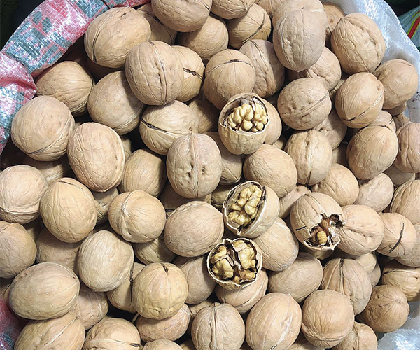 185 Walnut Inshell - On Sale High-Quality Dried walnuts in shell, Origin Walnuts Inshell Top ...