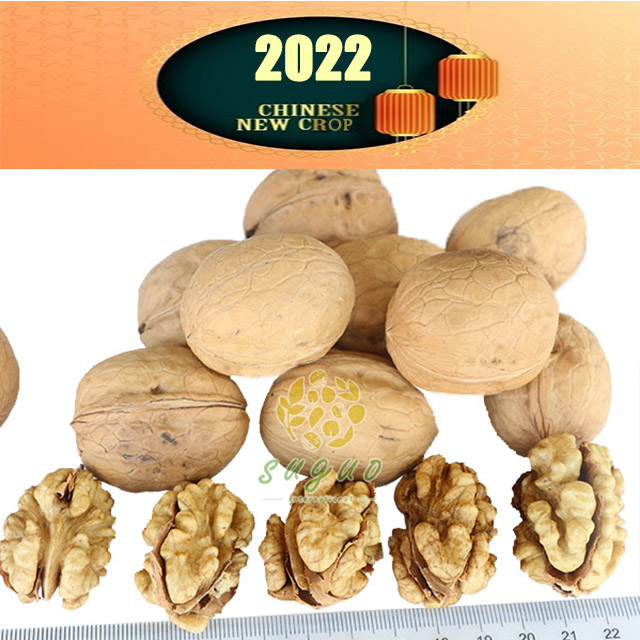 Xin2 Walnut Inshell, Hot sale Top quality Walnuts, Walnuts Kernels for ...